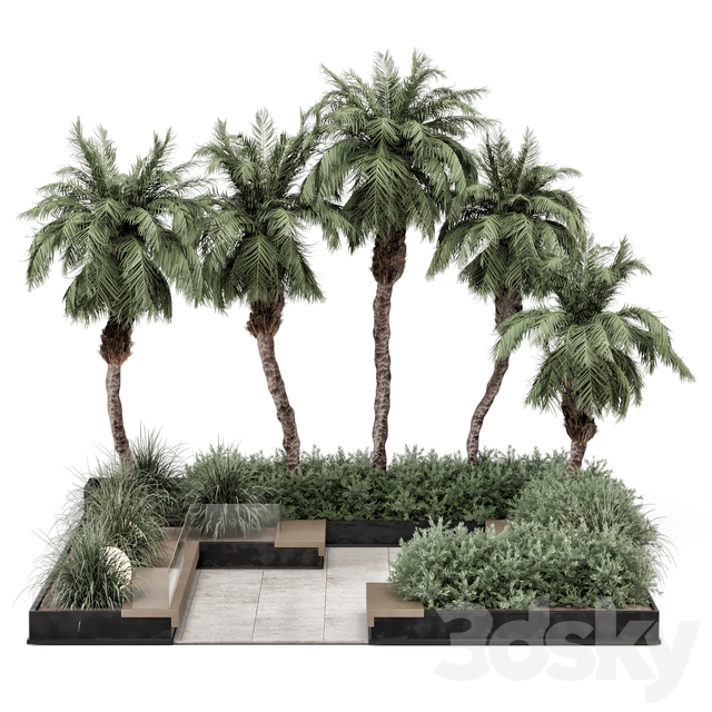 Backyard and Landscape Bush and Tree 2521