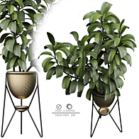 Plants collection 77 Modernica pots - Indoor - 3D model
