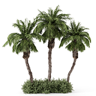 animated palm tree - Tree - 3D model