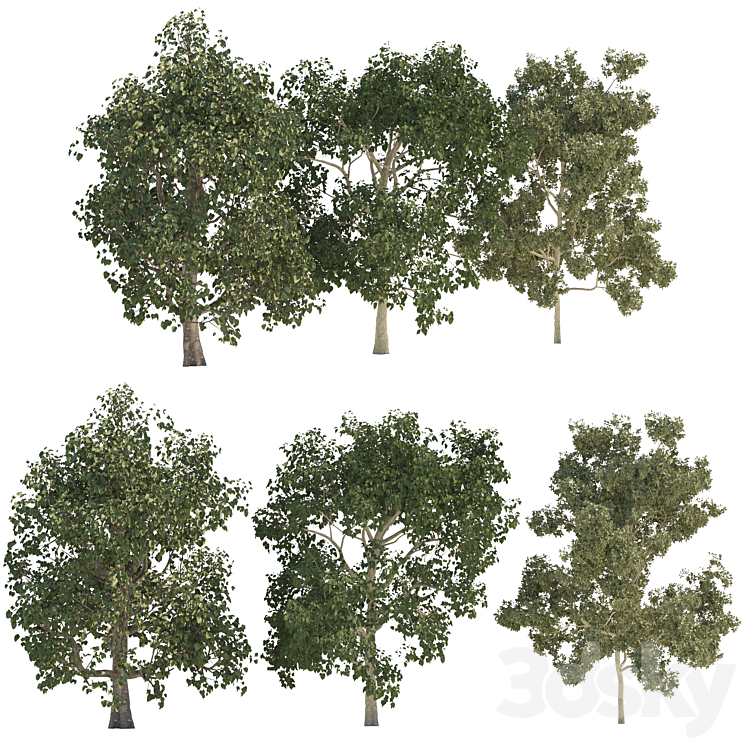 Three trees - Tree - 3D model