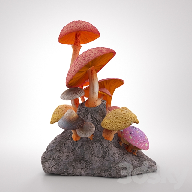 fungus - Miscellaneous - 3D Models