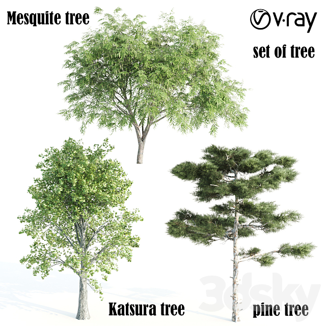 set of tree013 vray - Tree - 3D Models