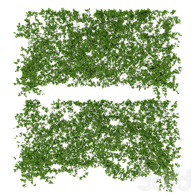 Стена из листьев - Уличные - 3D Модель